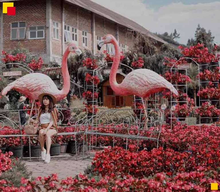 Taman Bunga Begonia Lembang - Review Lengkap Fasilitas dan HTM